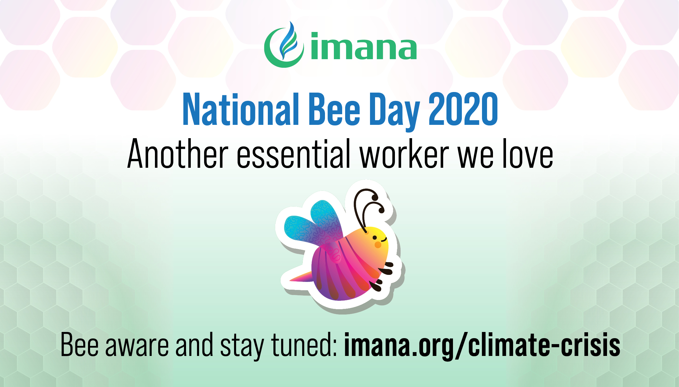 It's National Honey Bee Day! – IMANA