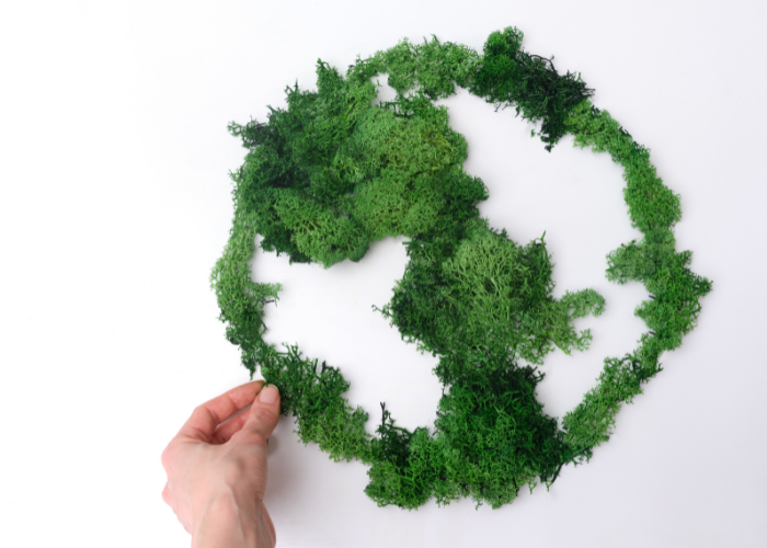 Sustainability in Healthcare: Securing Our Future – IMANA Sustainability in Healthcare: Securing Our Future – IMANA